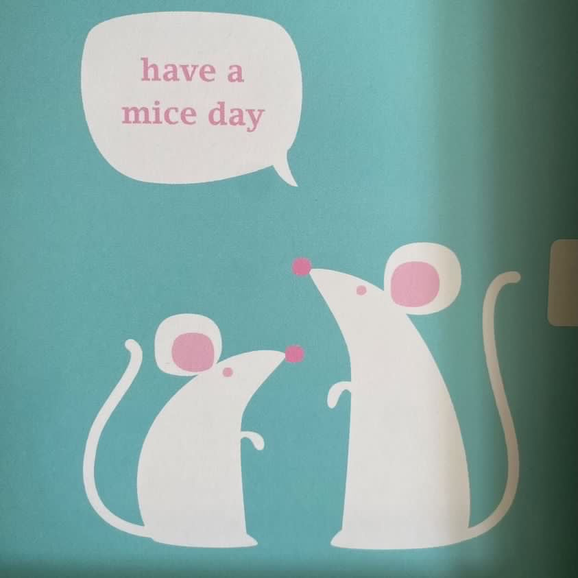 Have a Mice Day Card – The Botanical Nest